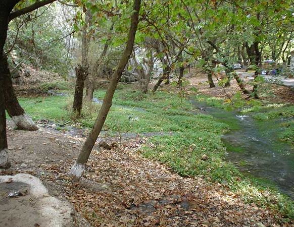ΠΛΑΝΗΤΕΡΟ – Πηγές: Ταβέρνα – Ιχθυοτροφείο πέστροφας